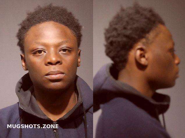 HIGGINS FRANKIE T JR 04/29/2025 - Kendall County Mugshots Zone