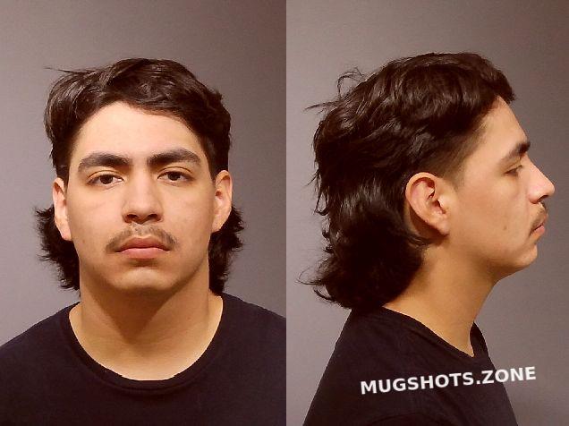 RAMIREZ GUZMAN BRIAN JOEL 01/15/2026 - Kendall County Mugshots Zone