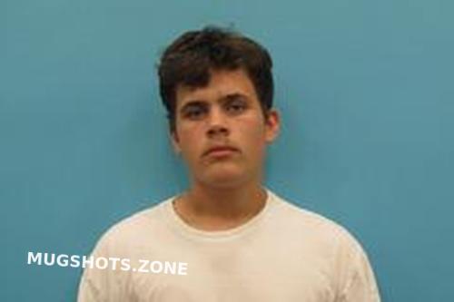 SAYLOR SMITH 08/08/2024 - Kendall County Mugshots Zone