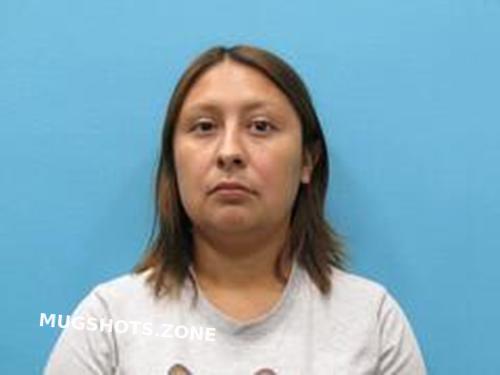 SILVIA BALDERAS 06/03/2025 - Kendall County Mugshots Zone