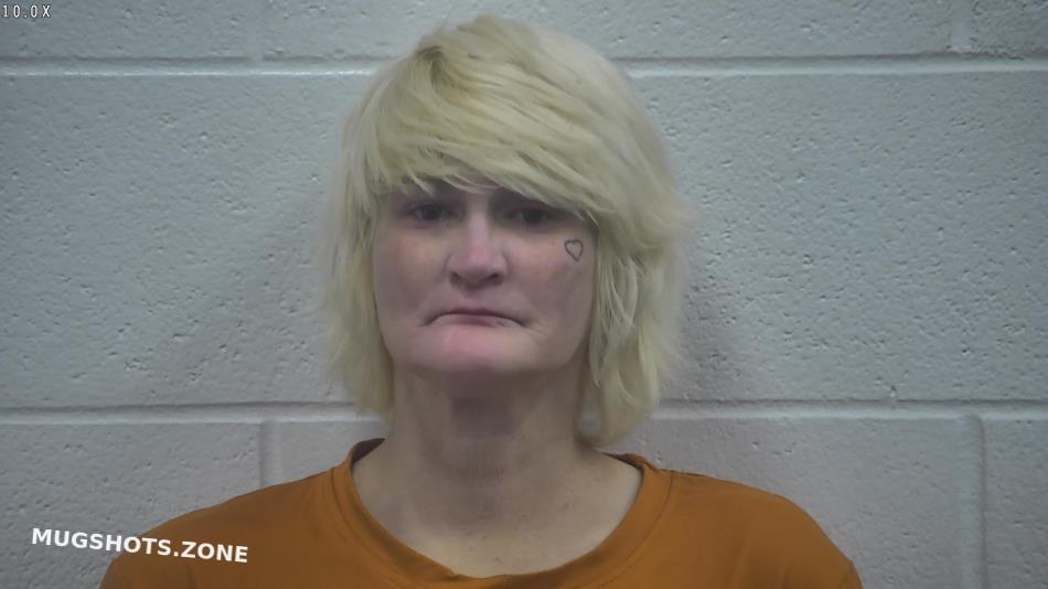 COOK HEATHER NICOLE 11/04/2024 - Kenton County Mugshots Zone