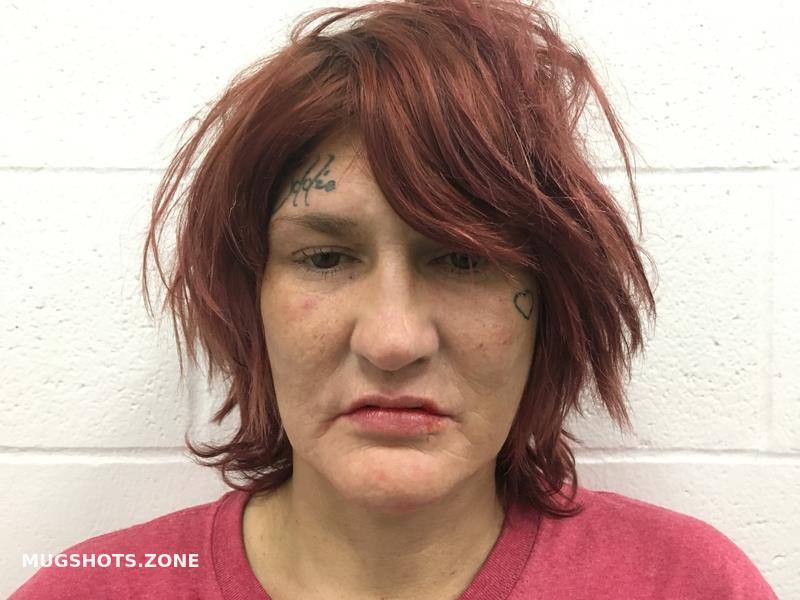 COOK HEATHER NICOLE 06/25/2025 - Kenton County Mugshots Zone