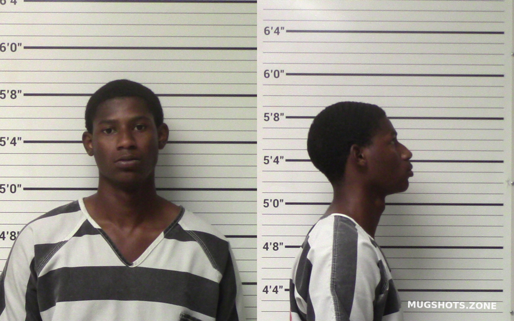 HENDERSON JABORI WILLIAM TERRELL 06/01/2022 - Kerr County Mugshots Zone