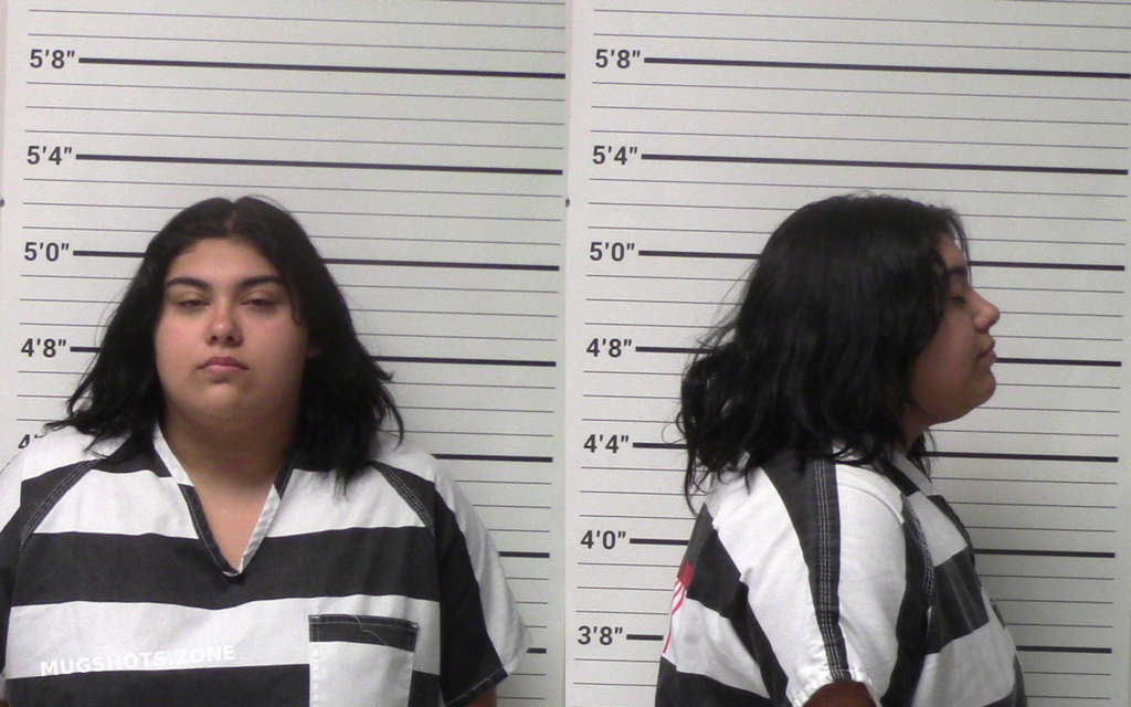 CASTILLO ARAYA SANTOS 08/25/2022 - Kerr County Mugshots Zone
