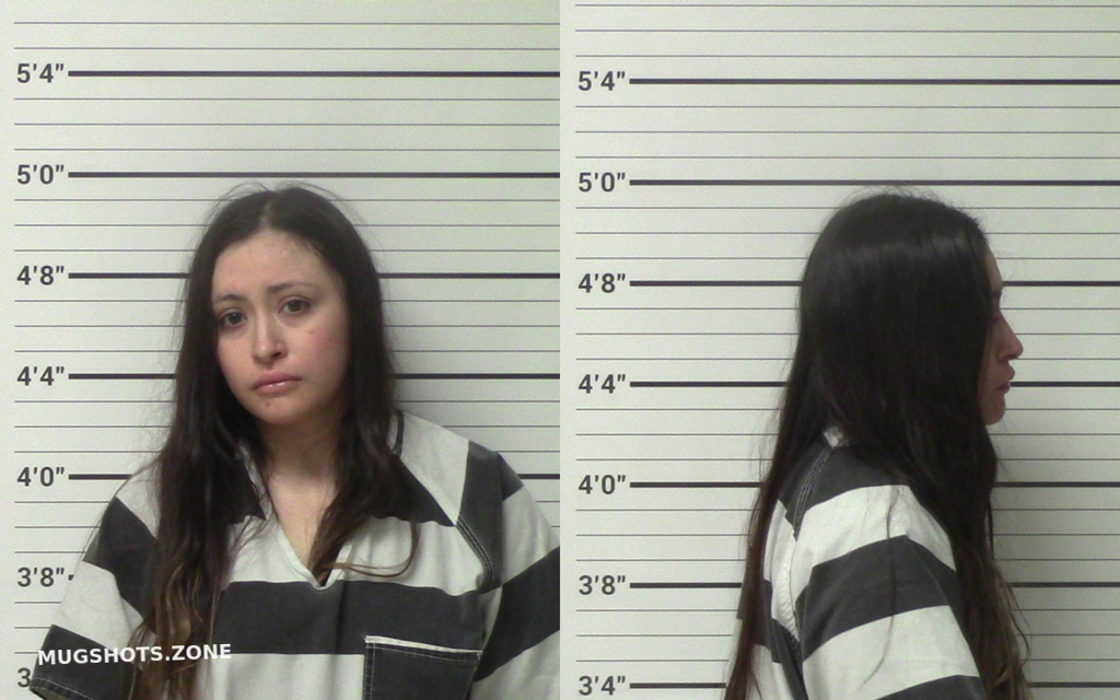 Castillo Ashley Alyce 12162023 Kerr County Mugshots Zone