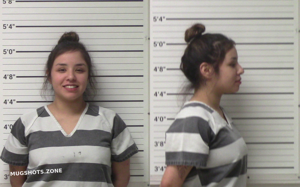 MCGHEE LESLEY ANN 04/10/2024 - Kerr County Mugshots Zone