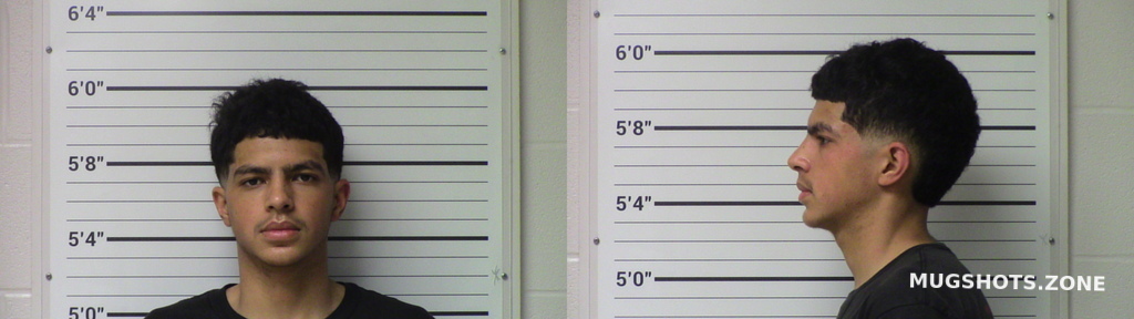 ALFORD GAVIN BROCK 06/20/2024 - Kerr County Mugshots Zone