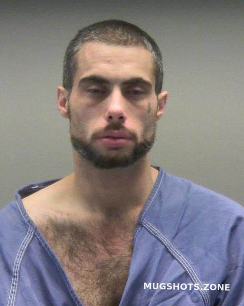 LEVINE DAVID JOHN 11/15/2024 - Kettering Jail Mugshots Zone