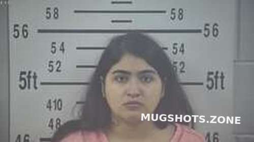 LYDIA PENA 02/20/2024 - Kleberg County Mugshots Zone