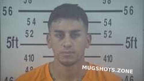 CHRISTOPHER SEDILLO 03/30/2024 - Kleberg County Mugshots Zone