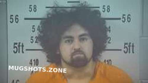 MICHAEL ALEXANDER 07/30/2024 - Kleberg County Mugshots Zone