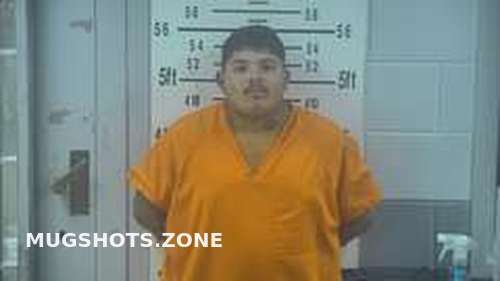SAMUEL LERMA 10/17/2024 - Kleberg County Mugshots Zone