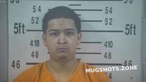 BRYAN RAMIREZ 03/24/2025 - Kleberg County Mugshots Zone