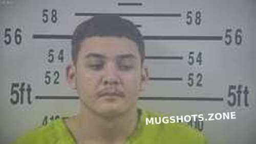 MICHAEL CANTU 04/17/2025 - Kleberg County Mugshots Zone