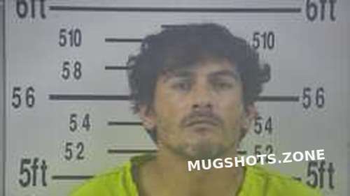 MICHAEL MCNICHOLS 11/18/2025 - Kleberg County Mugshots Zone