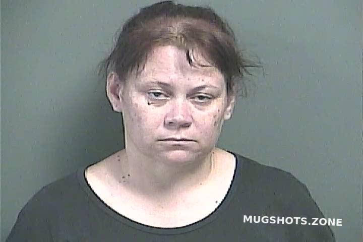 BEACH SANDY L 08/19/2024 - Knox County Mugshots Zone