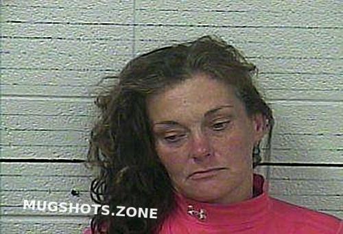 CLOUD DENISE ELLEN 03/03/2023 - Knox County Mugshots Zone