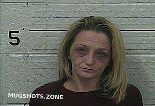 MCNEAL JAMIE 04/10/2023 - Knox County Mugshots Zone