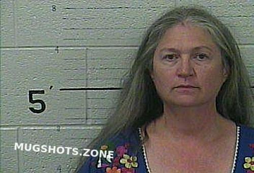 WREN BETH 07/15/2023 - Knox County Mugshots Zone