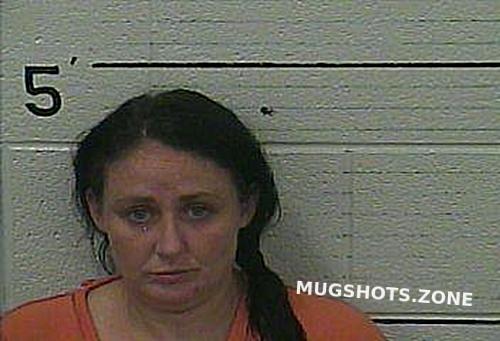 BAIR SAMANTHA LEE 11/04/2023 - Knox County Mugshots Zone