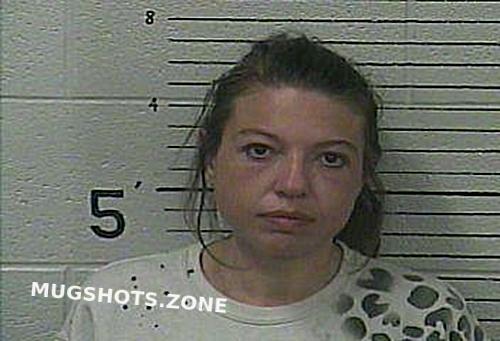 MESSER KIMBERLY L 12/02/2024 - Knox County Mugshots Zone