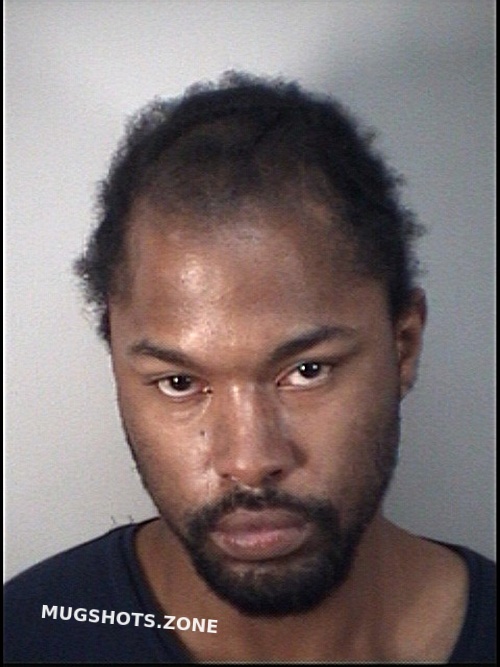 TROY EDWARD STRINGER 01/11/2022 - Lake County Mugshots Zone