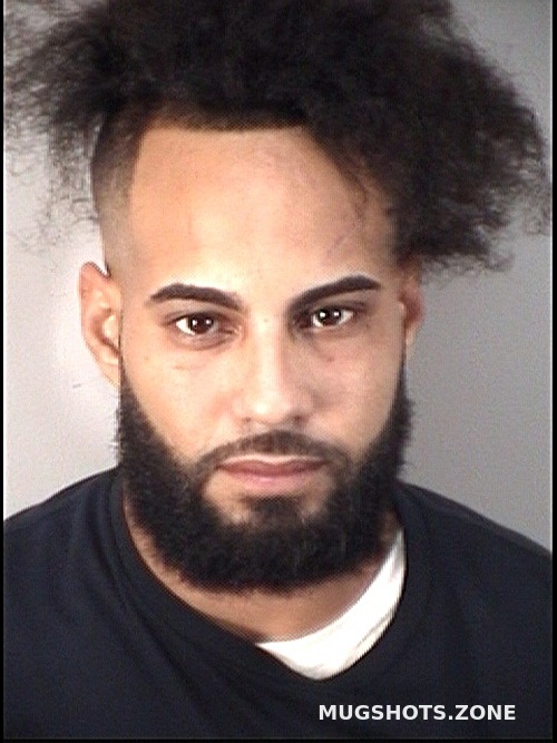 CHRISTOPHER MYLES ROMAN 02/05/2022 - Lake County Mugshots Zone