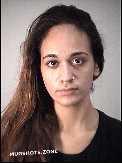 CRYSTAL LEE EMELIA TORRES 02/17/2022 - Lake County Mugshots Zone