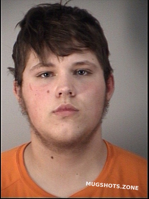 JOSHUA SEBASTIAN ROSENSTEIN 02/17/2022 - Lake County Mugshots Zone