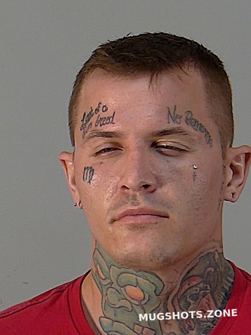 Joshua Tyler Lyman 03 18 2022 Lake County Mugshots Zone