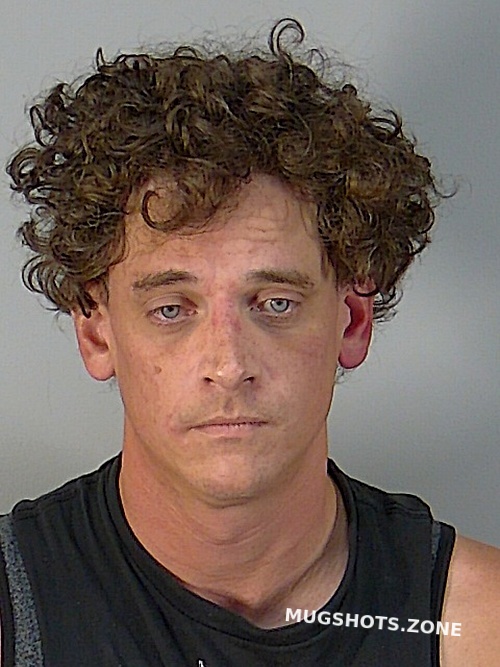 AARON SCOTT BRUMMER 03/26/2022 - Lake County Mugshots Zone