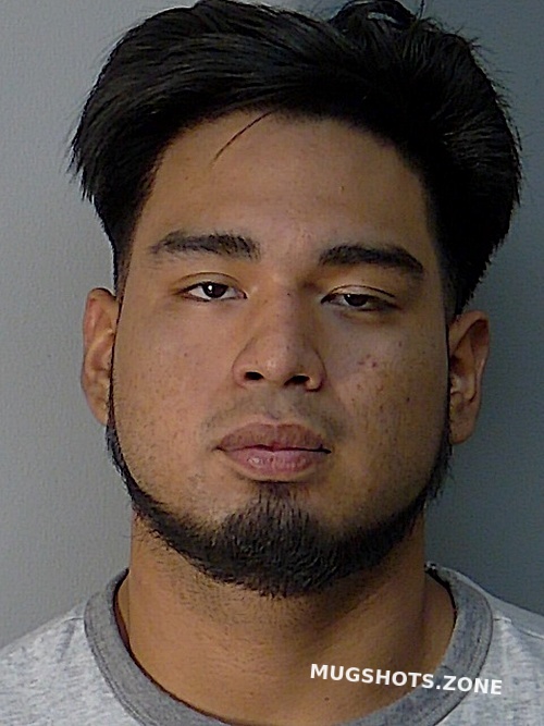 EMMANUEL M SERRANO 03/28/2022 - Lake County Mugshots Zone