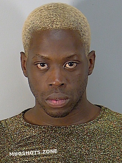 ANDREA LAMAR LEWIS 03/29/2022 - Lake County Mugshots Zone