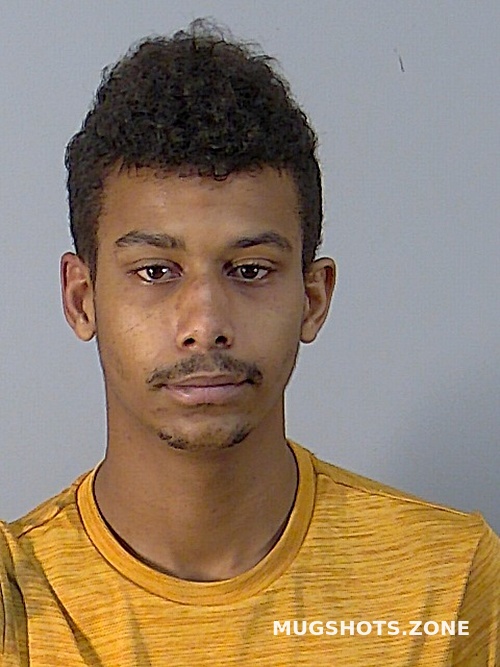 BRICE MICHAEL REED 04/04/2022 - Lake County Mugshots Zone