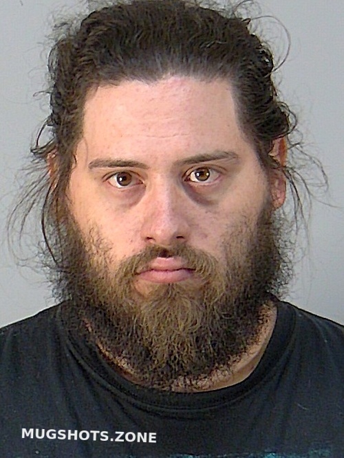 ANTHONY LUIS ROMAN 04/12/2022 - Lake County Mugshots Zone