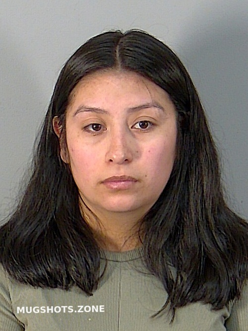 MARIA FERNANDA GONZALEZ 04/22/2022 - Lake County Mugshots Zone