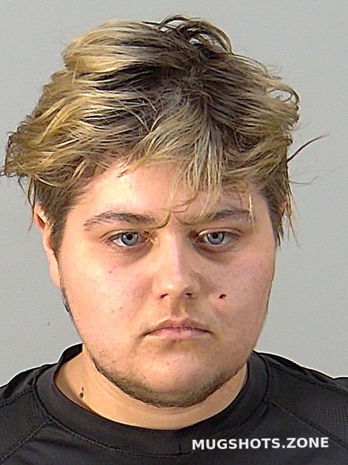 STEPHANIE DANIELLE HENSEN 04/26/2022 - Lake County Mugshots Zone