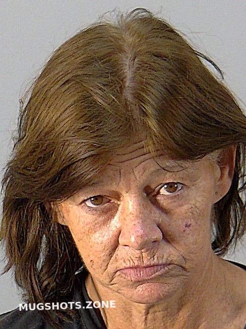 JANICE L TAYLOR 05/20/2022 - Lake County Mugshots Zone