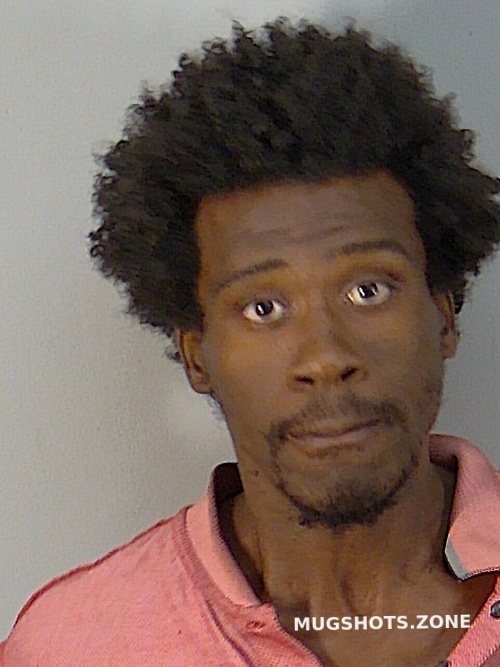 ZURI DIVINE ANDERSON 05/23/2022 - Lake County Mugshots Zone