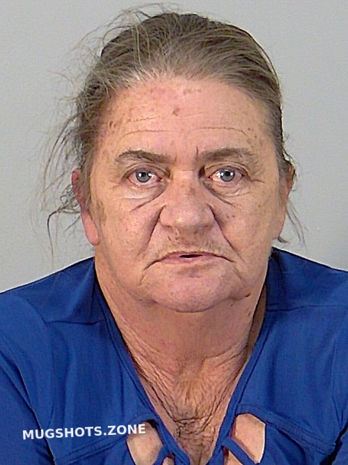 RHONDA ELAINE HAMILTON 05/28/2022 - Lake County Mugshots Zone