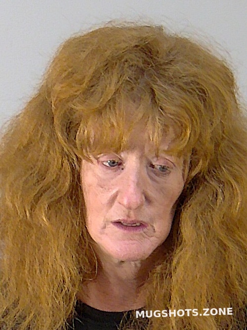 MARY ANN ESPY 07/09/2022 - Lake County Mugshots Zone