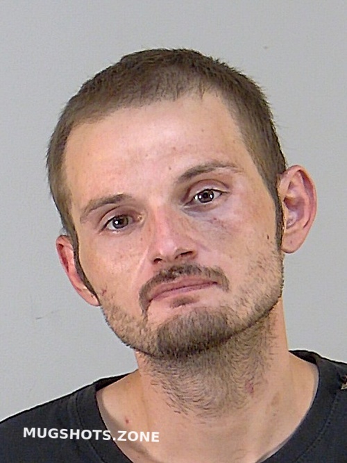 LEVY ALLEN GRECO 08/02/2022 - Lake County Mugshots Zone