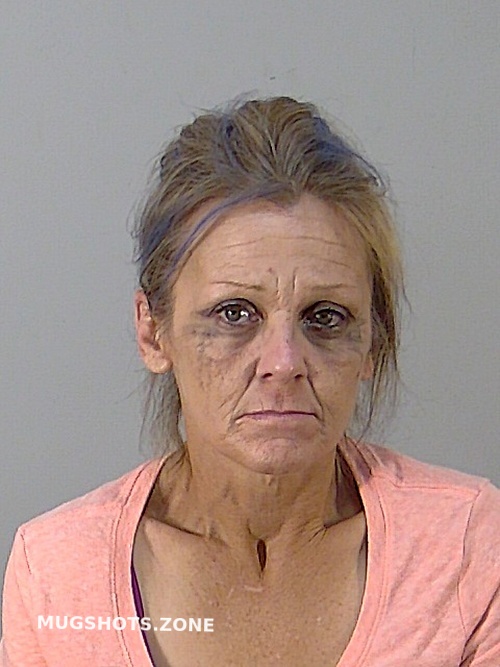 SHELLY BROWN 08/05/2022 - Lake County Mugshots Zone