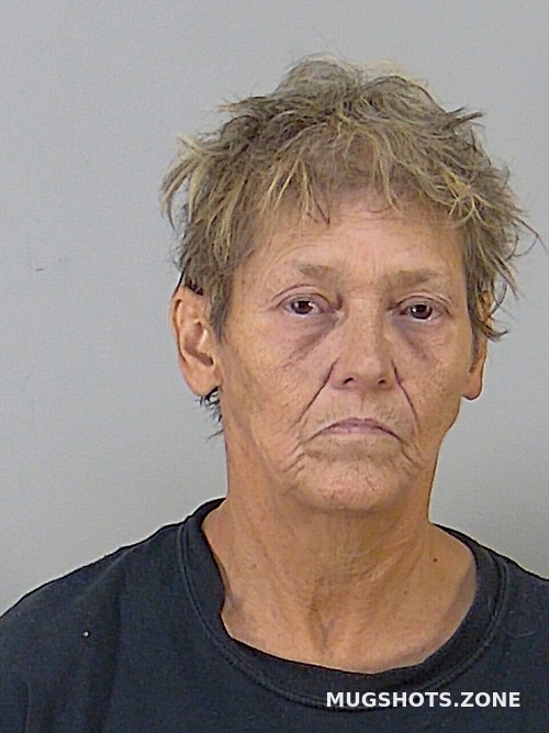 JANICE MARIE MEACHAM 08/22/2022 - Lake County Mugshots Zone