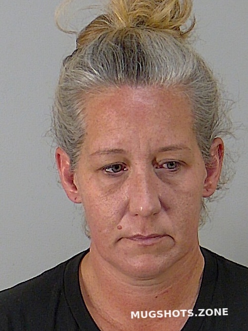 MICHELLE L ELLIOTT 08/29/2022 - Lake County Mugshots Zone