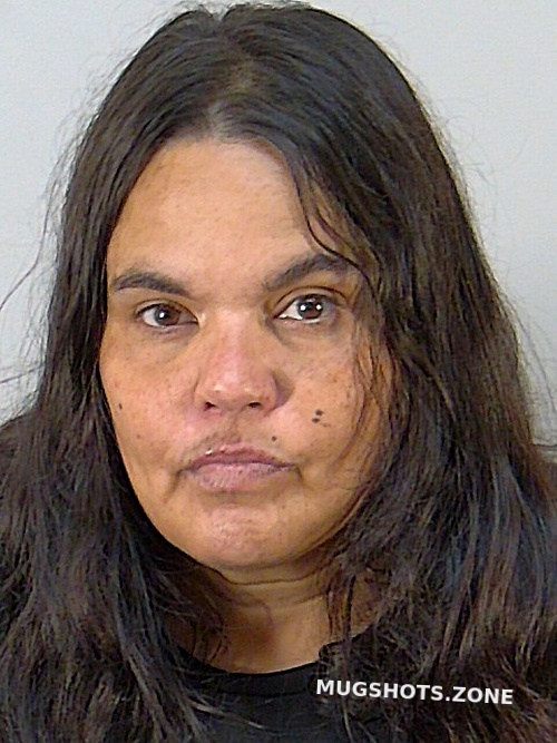 JAMIE ANN RITENOUR 09/03/2022 - Lake County Mugshots Zone