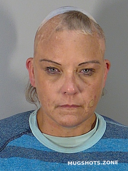 PATRICIA L ANDERSON 09/30/2022 - Lake County Mugshots Zone