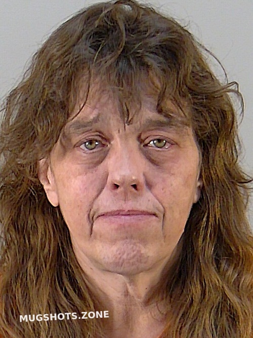 SHELLY ANN BLOWERS 10/12/2022 - Lake County Mugshots Zone