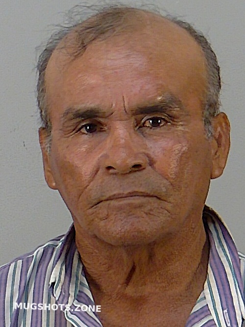 GABRIEL CASTILLO LOPEZ 10/15/2022 - Lake County Mugshots Zone