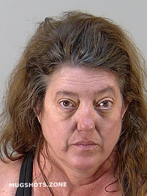 HEATHER RENEE RINE 10/17/2022 - Lake County Mugshots Zone